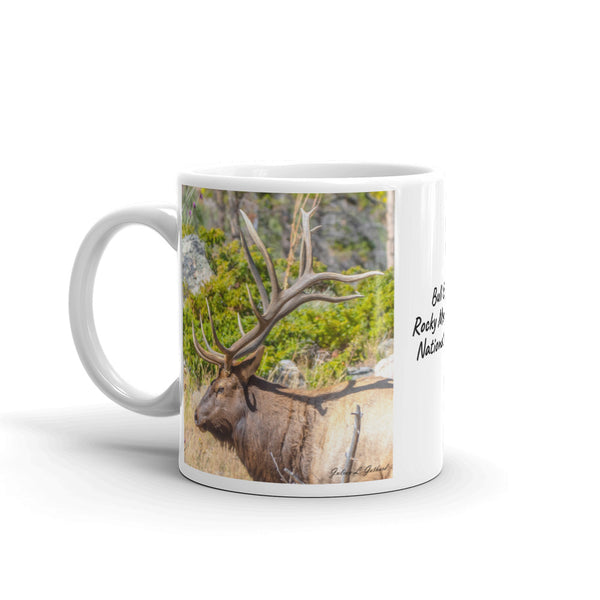 Twelve Point Bull Elk at Rocky Mountain National Park – Gothard Photography